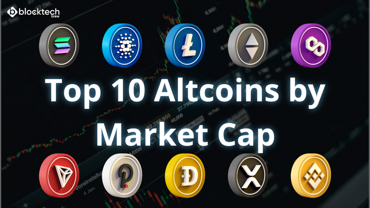 Altcoins Explained - What are Altcoins & How to Build One?